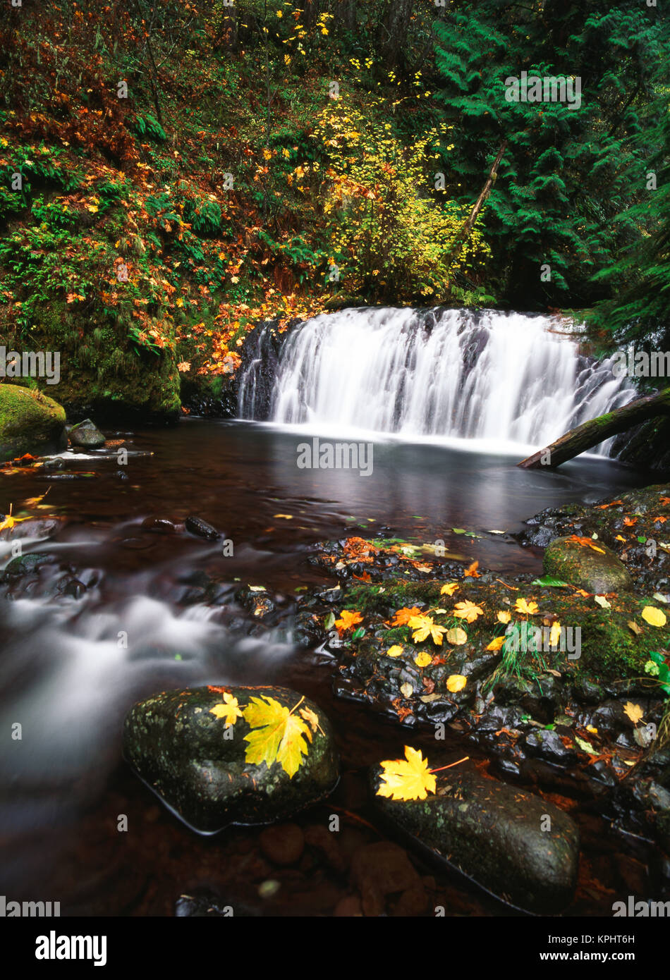 USA, Oregon, Columbia Gorge National Scenic Area, View of Multnomah ...