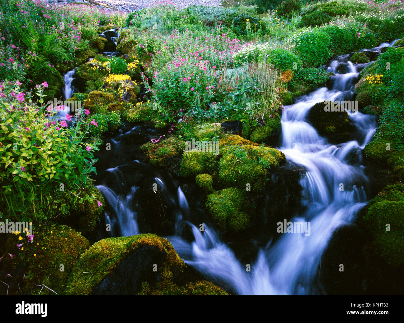 USA, Oregon, View of waterfall in forest (Large format sizes available ...