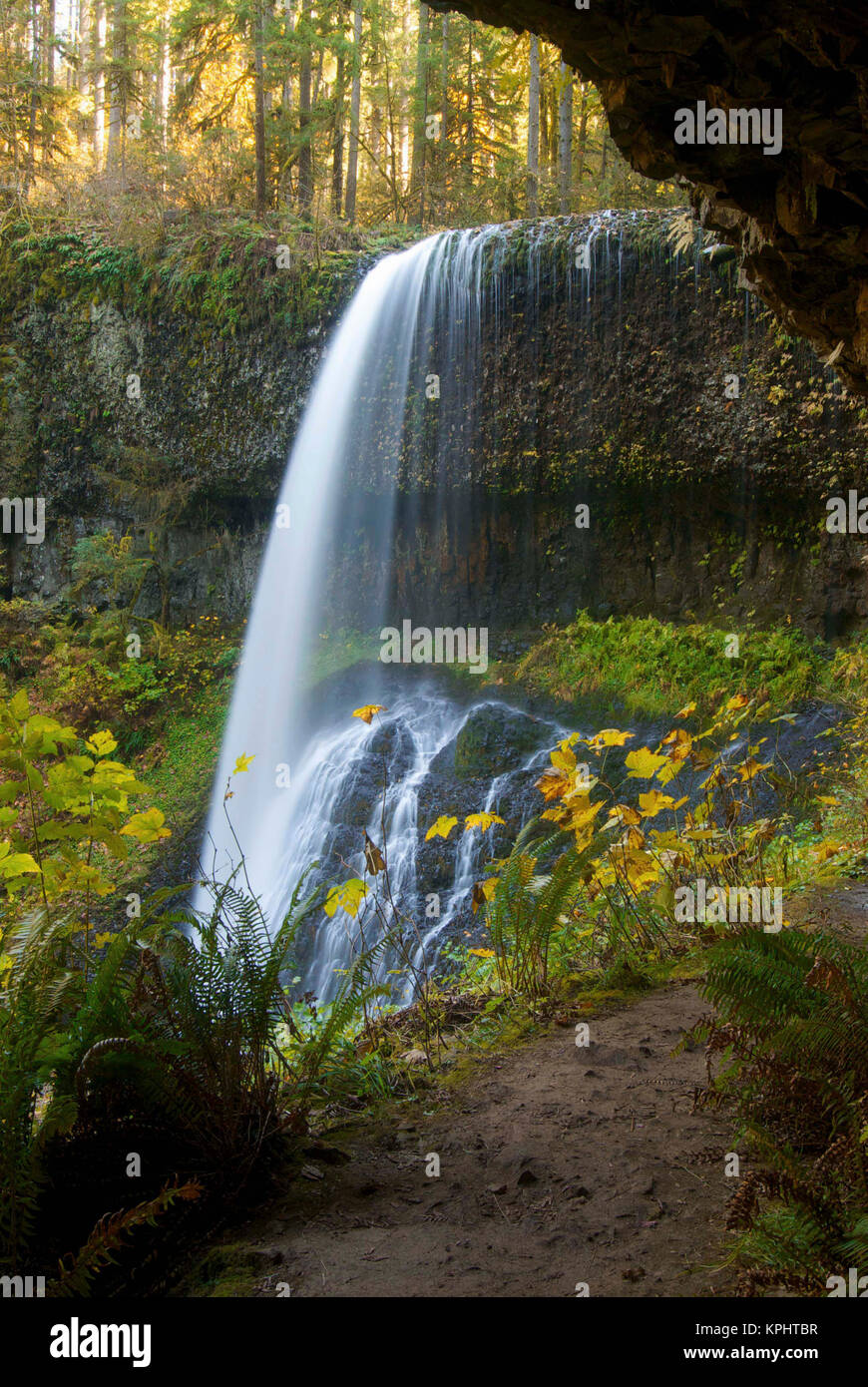 Fall Foliage, Lower South Falls, Silver Falls State Park, Oregon Stock ...