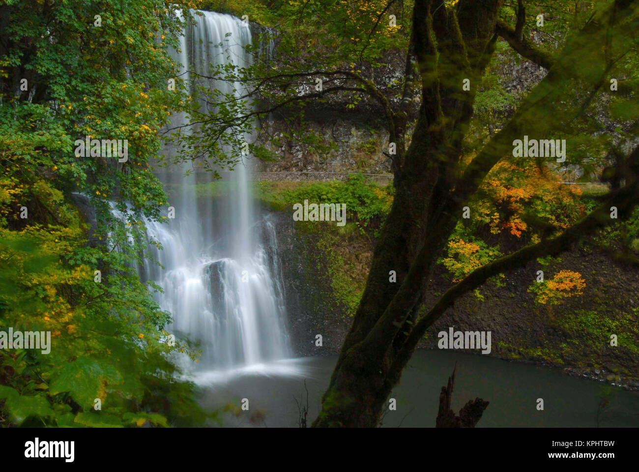 Fall Foliage, Lower South Falls, Silver Falls State Park, Oregon Stock ...