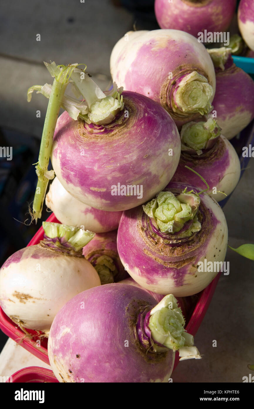 Walter findlay hi-res stock photography and images - Alamy