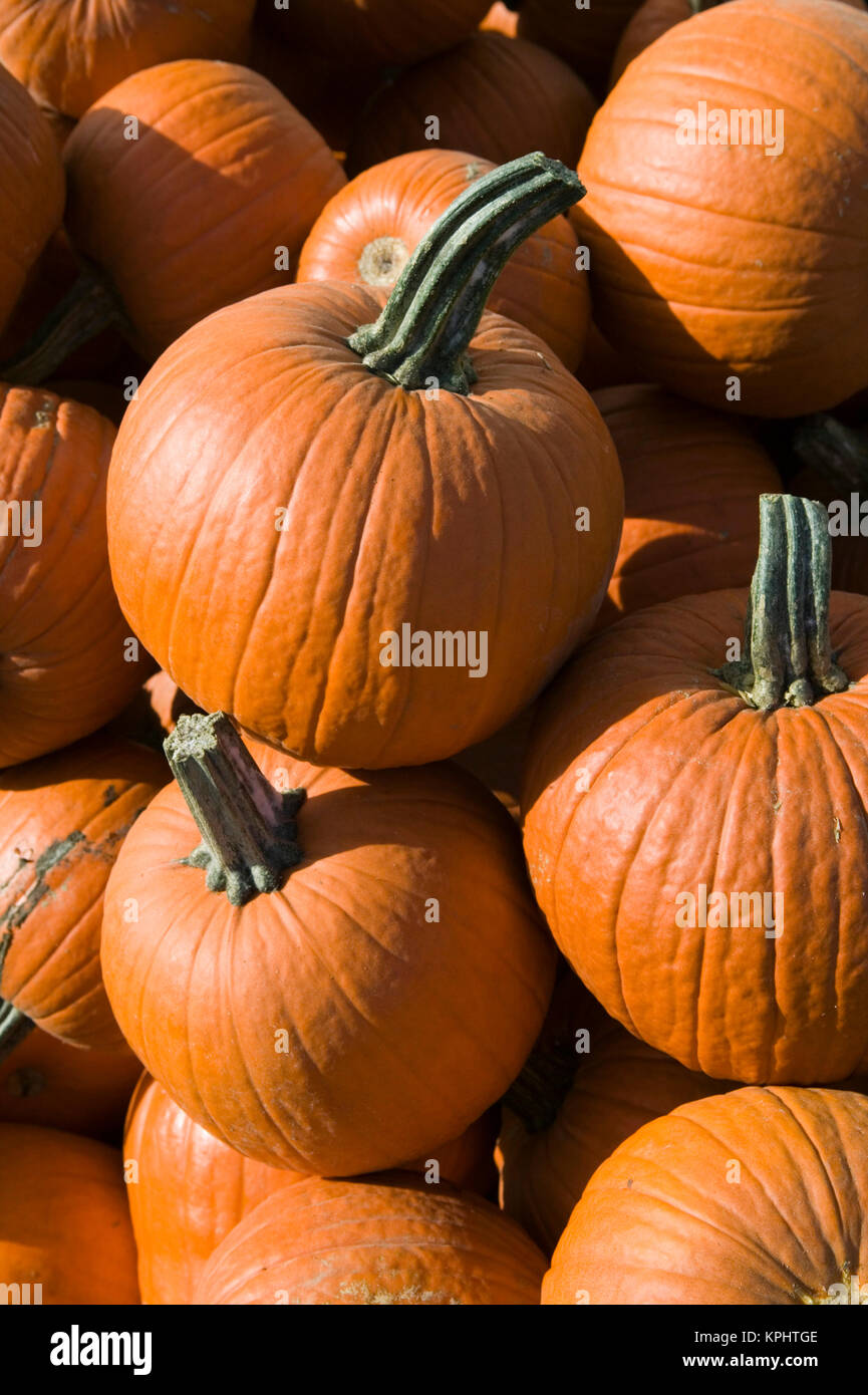 Kidron ohio hi-res stock photography and images - Alamy