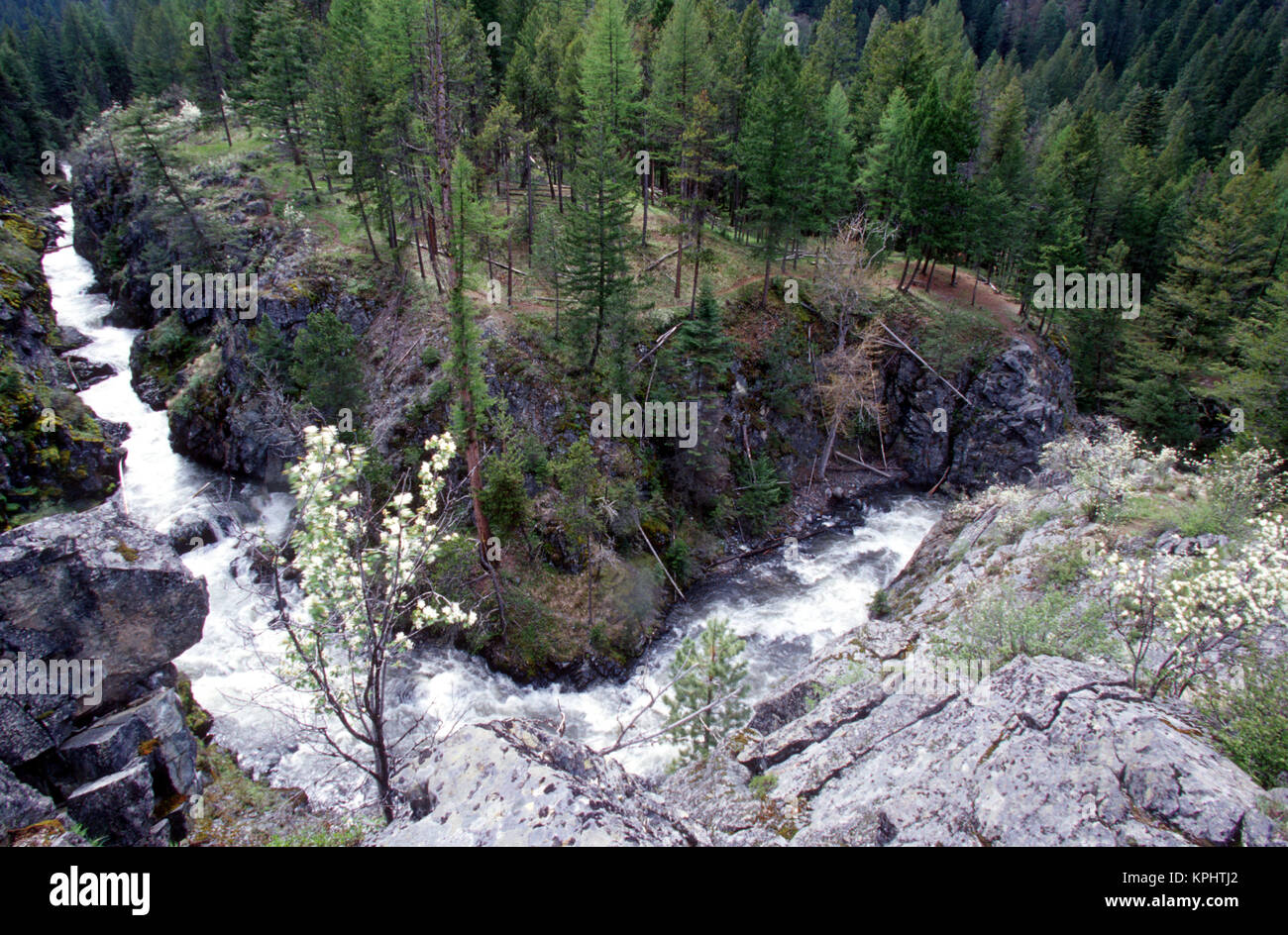 Willowa river hi-res stock photography and images - Alamy