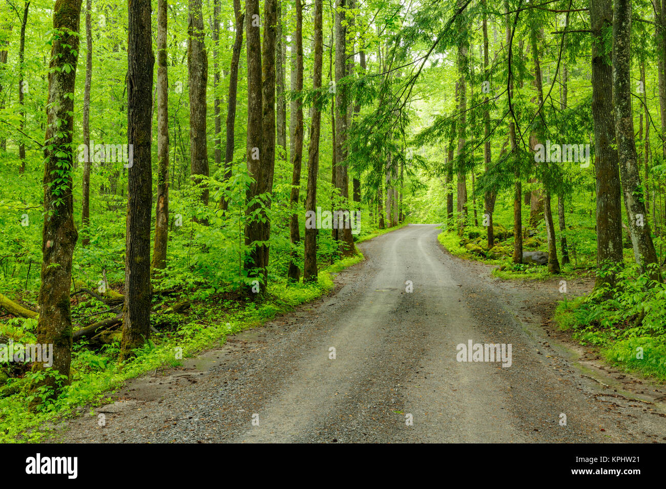 Tremont road hi-res stock photography and images - Alamy