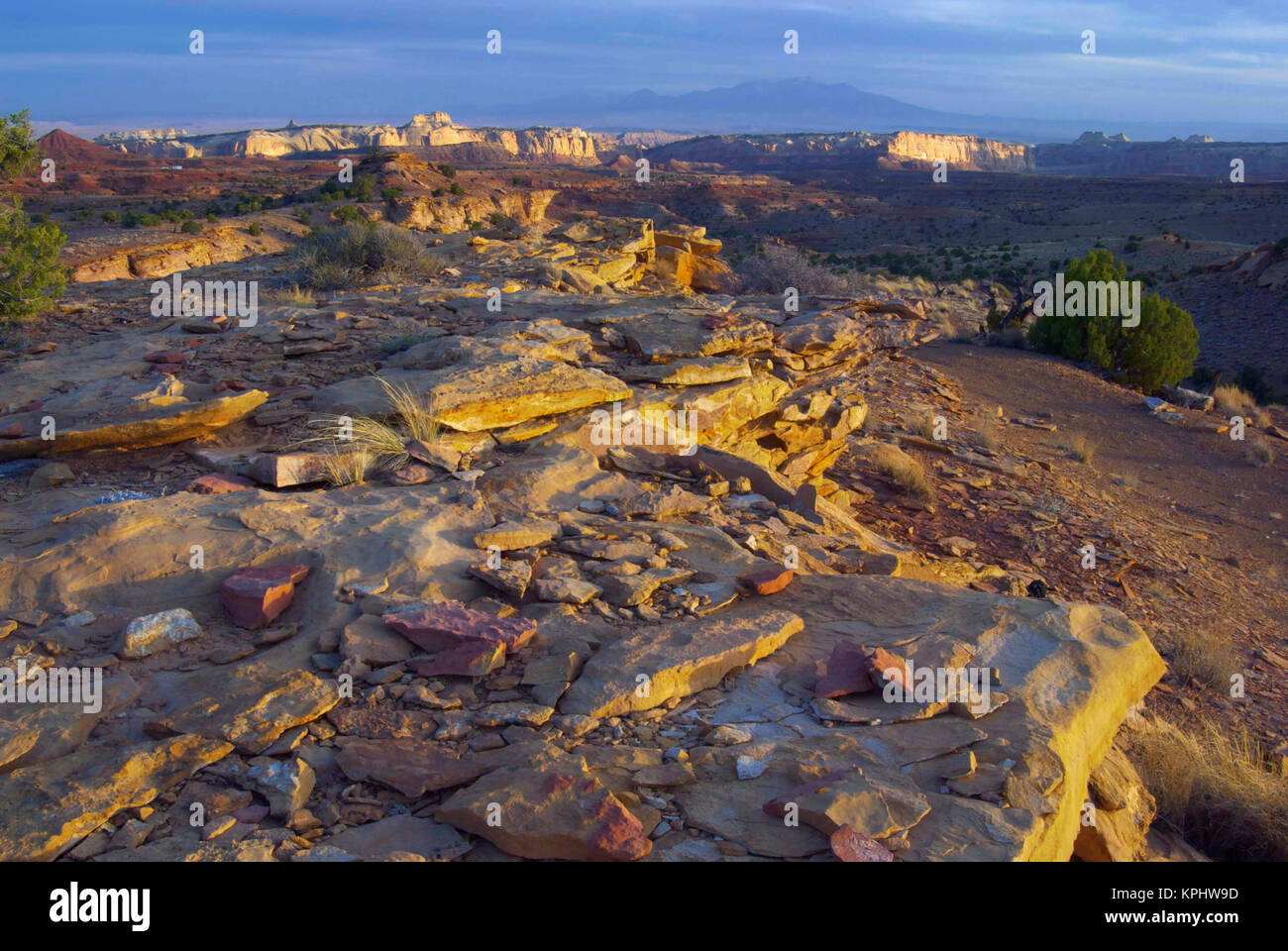 Desert landscape, San Rafael Reef, Utah Stock Photo - Alamy