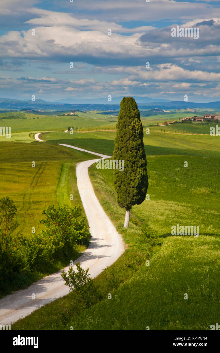 Tree of fertility tuscany hi-res stock photography and images - Alamy
