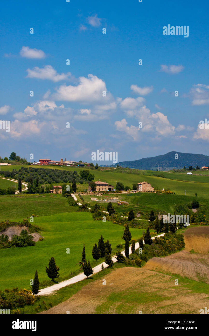 Europe, Italy, Tuscany. Rolling Hills of Spring Wheat Fields Stock ...