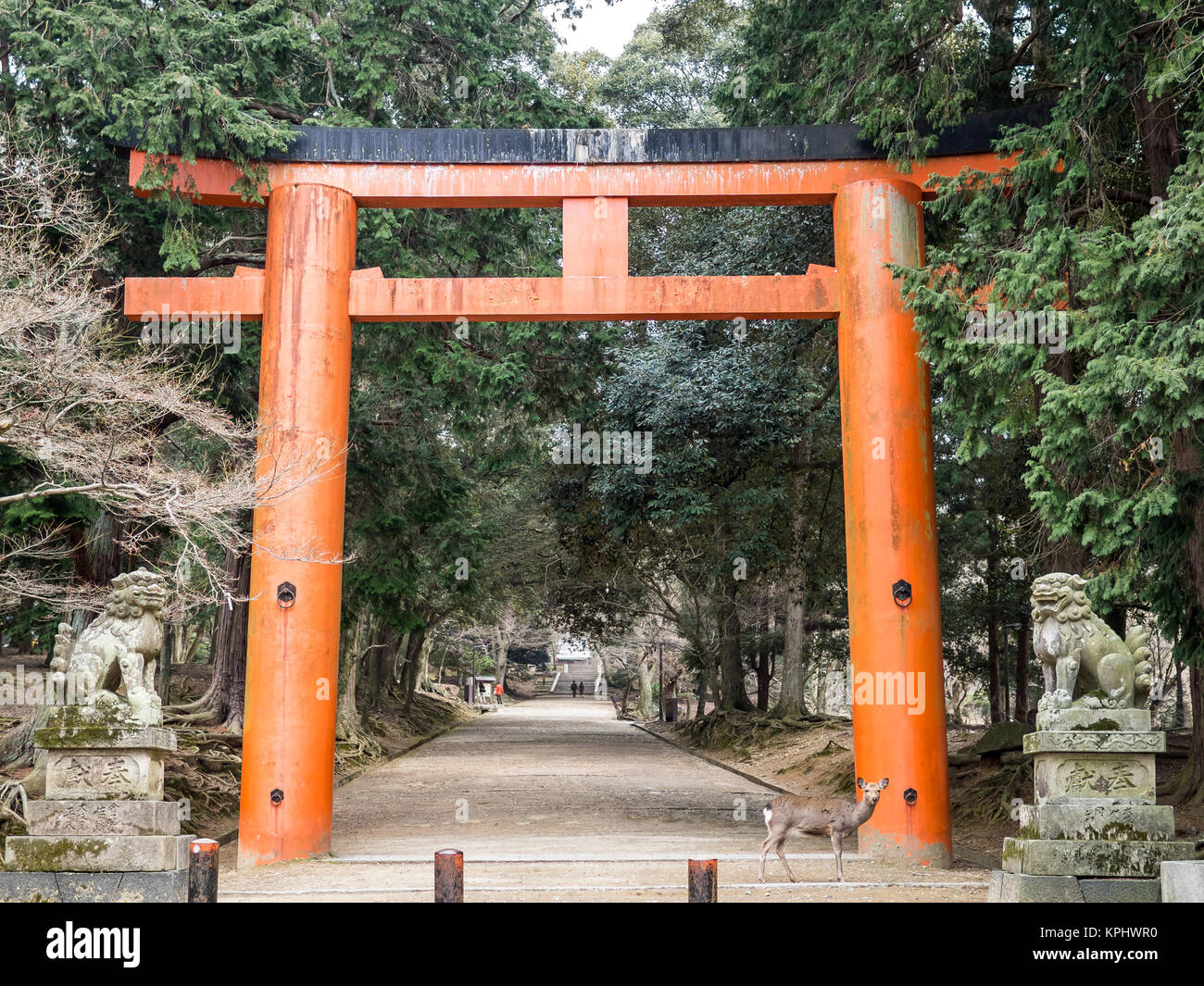 Gate seen in Nara park, Nara, Japan Stock Photo - Alamy