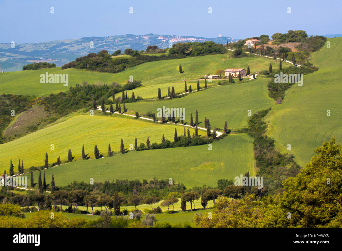 Europe, Italy, Tuscany. Famous road winding through the Tuscan hillside ...