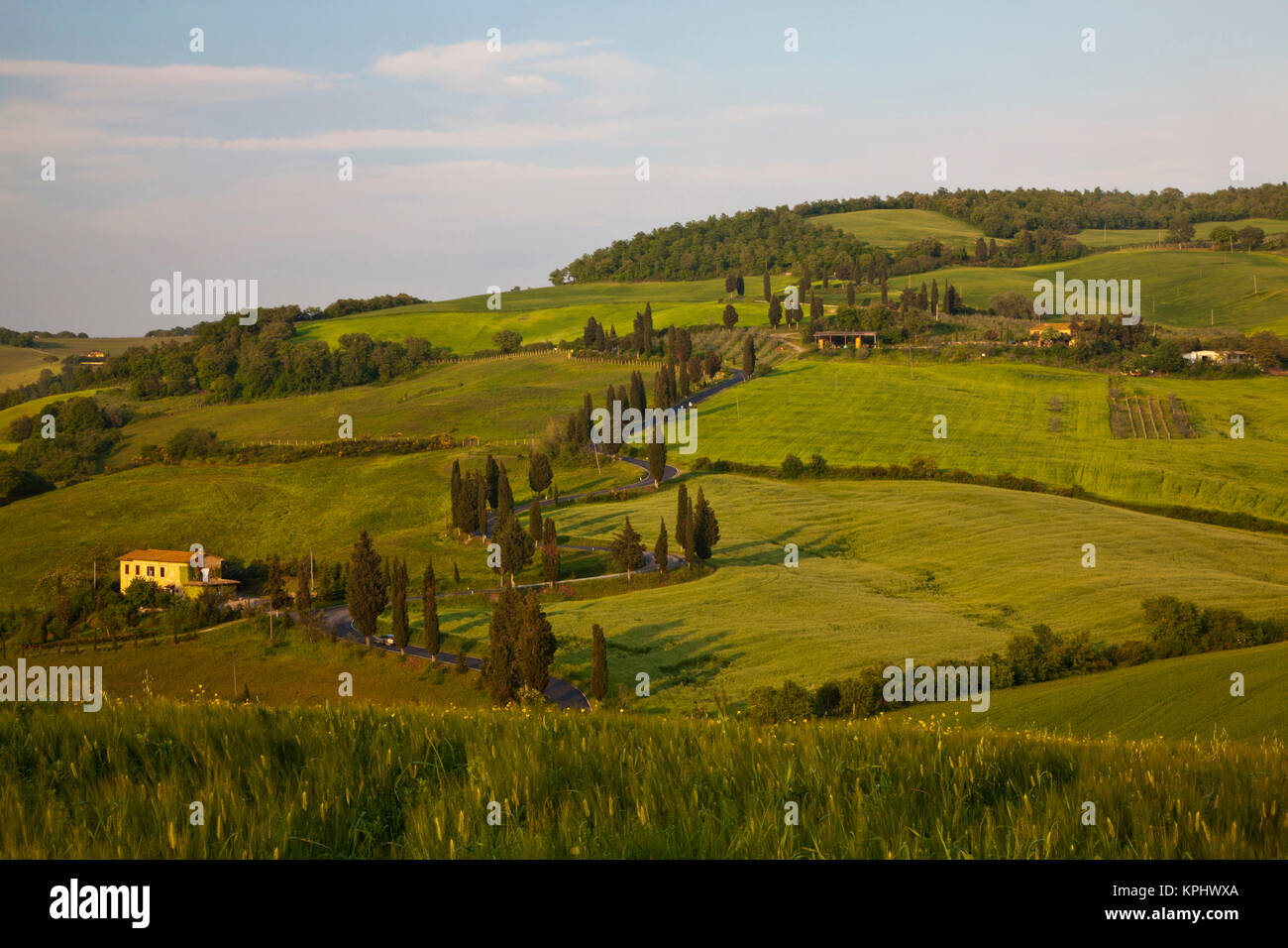Europe, Italy, Tuscany. Famous road winding through the Tuscan hillside ...