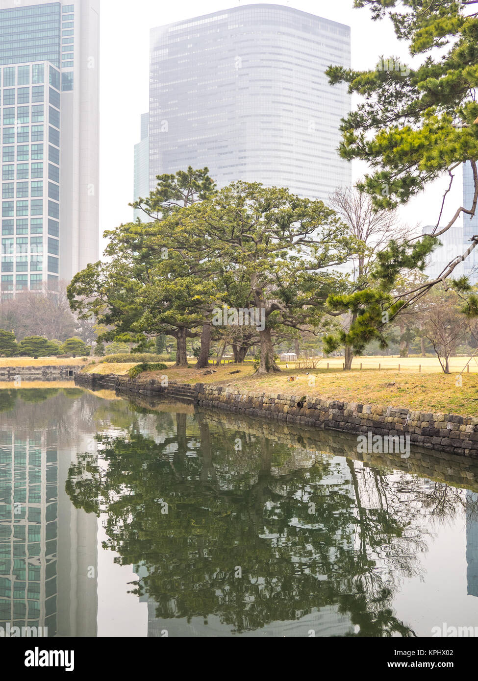 Trees of a japanese garden in the modern city of Tokyo, Japan Stock ...