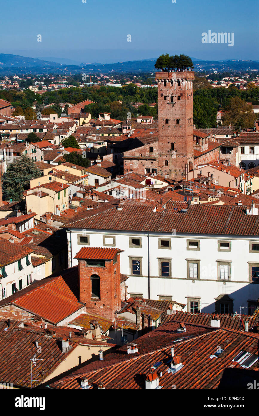 Europe, Italy, Lucca, Torre Guinigi, The Tower with Oak Trees on the ...