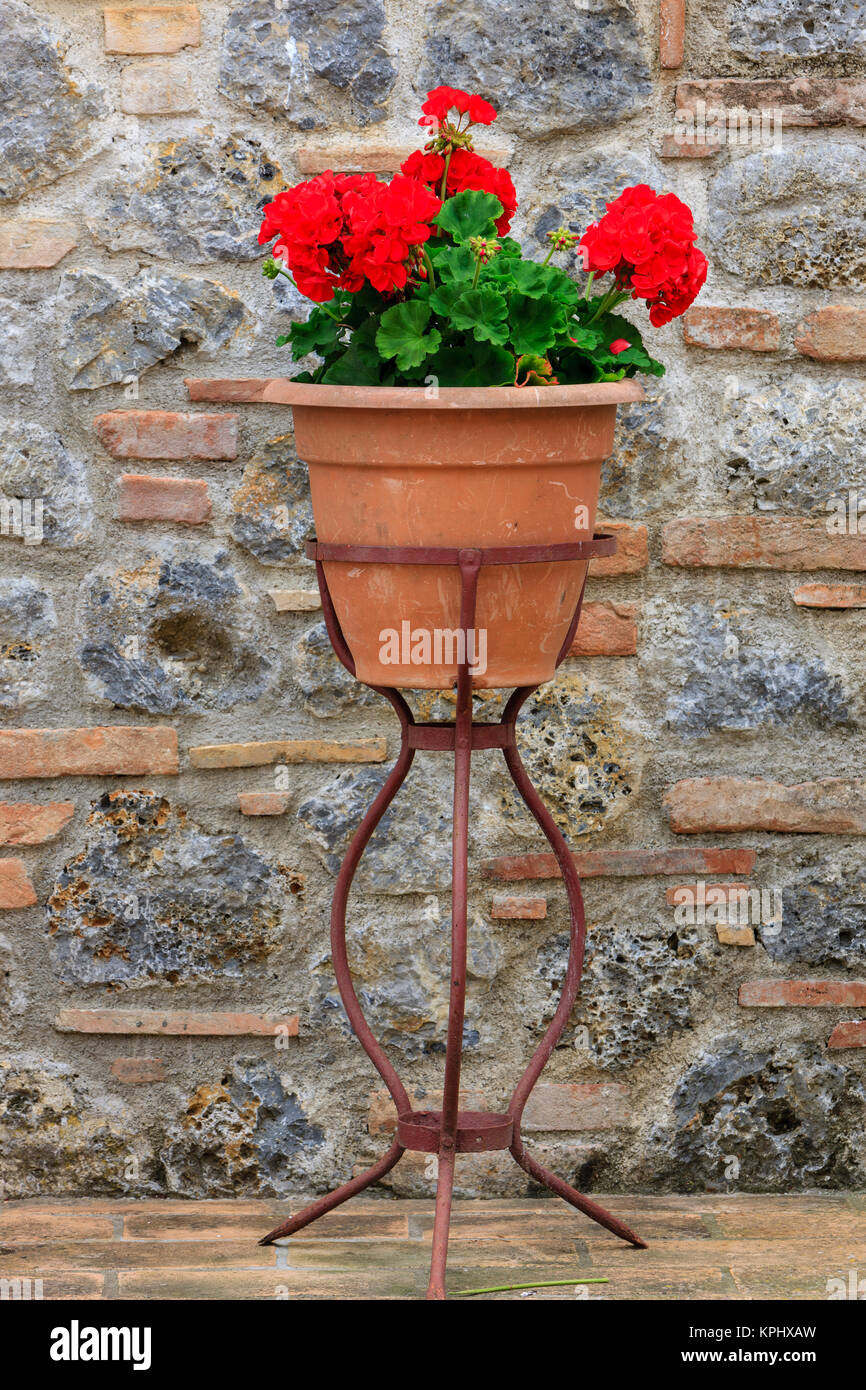 Flower pots as decoration. Tuscany, Italy Stock Photo - Alamy