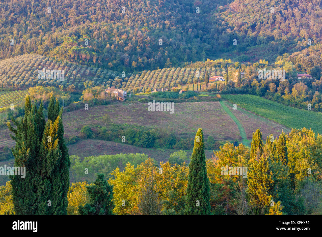 Typical Rolling Hills Landscape. Tuscany, Italy Stock Photo - Alamy