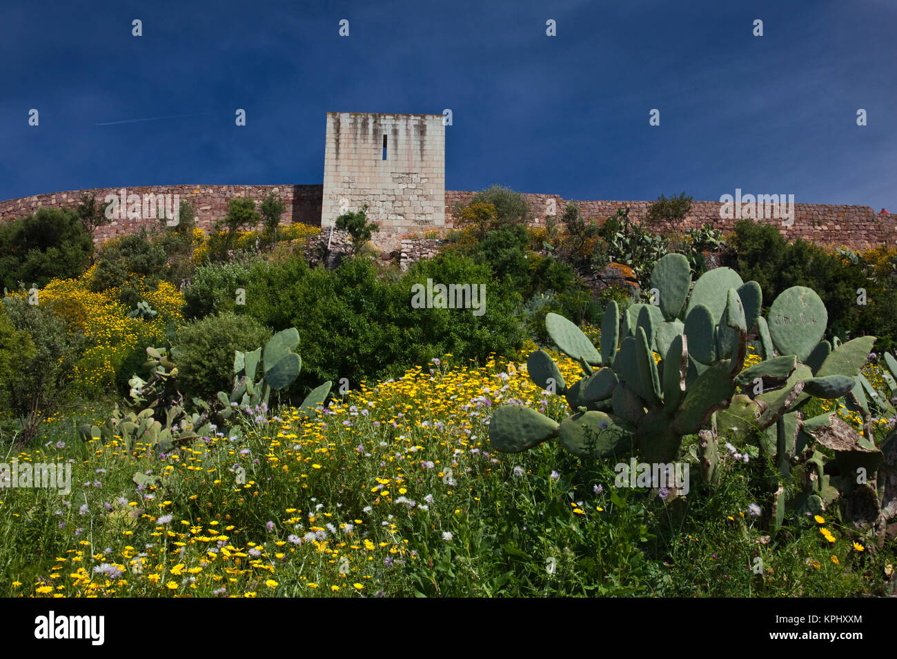 Italy, Sardinia, Bosa. Cacti and Castello Malaspina Stock Photo - Alamy