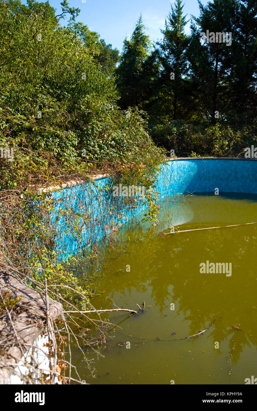 detail of abandoned and overgrown swimming pool Stock Photo - Alamy