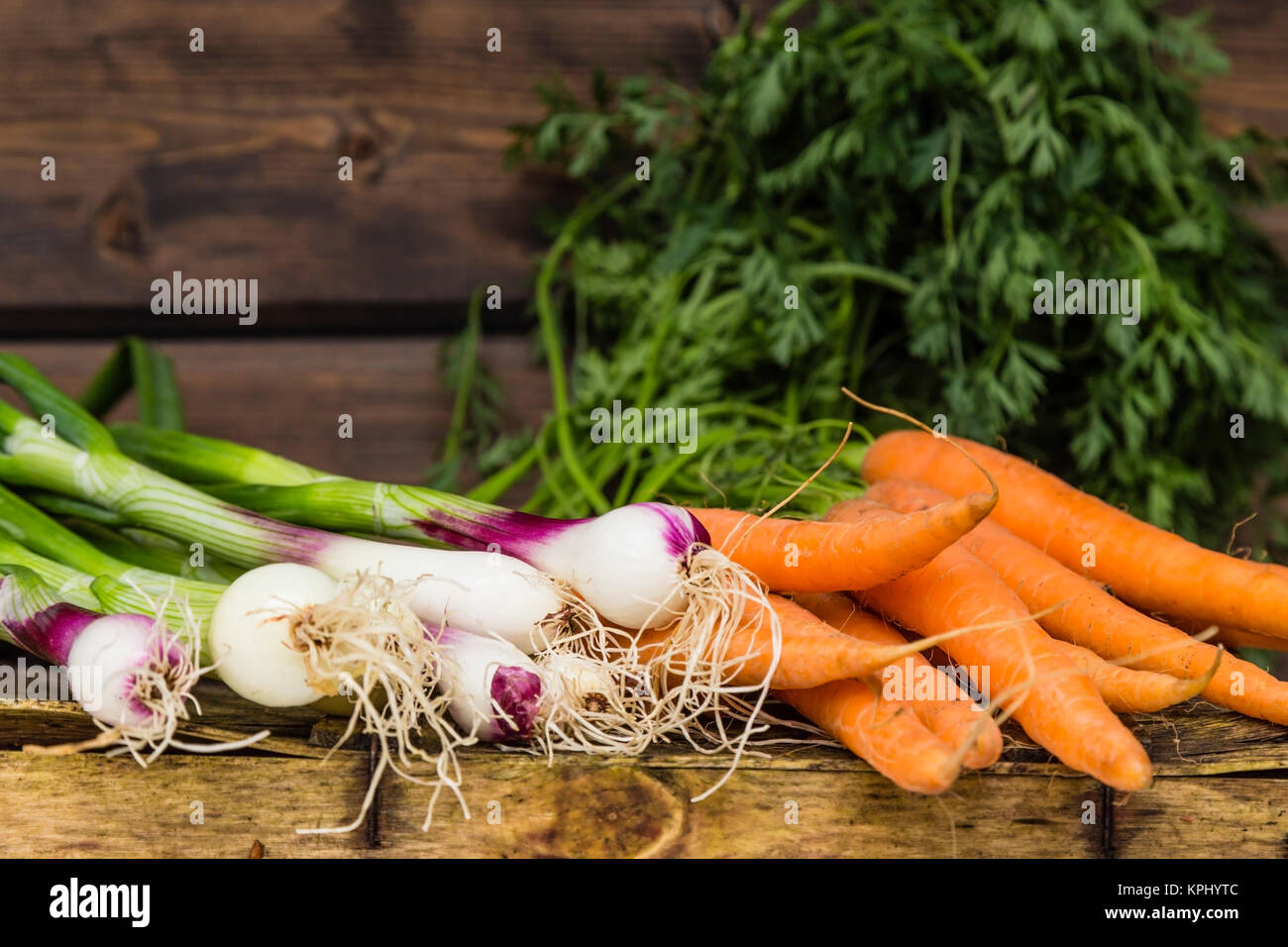 vegetable harvest in the garden Stock Photo - Alamy