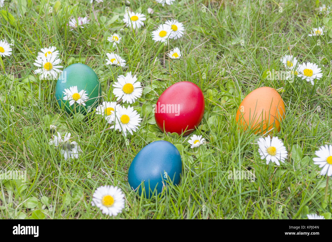 Easter Eggs in the Grass Stock Photo - Alamy
