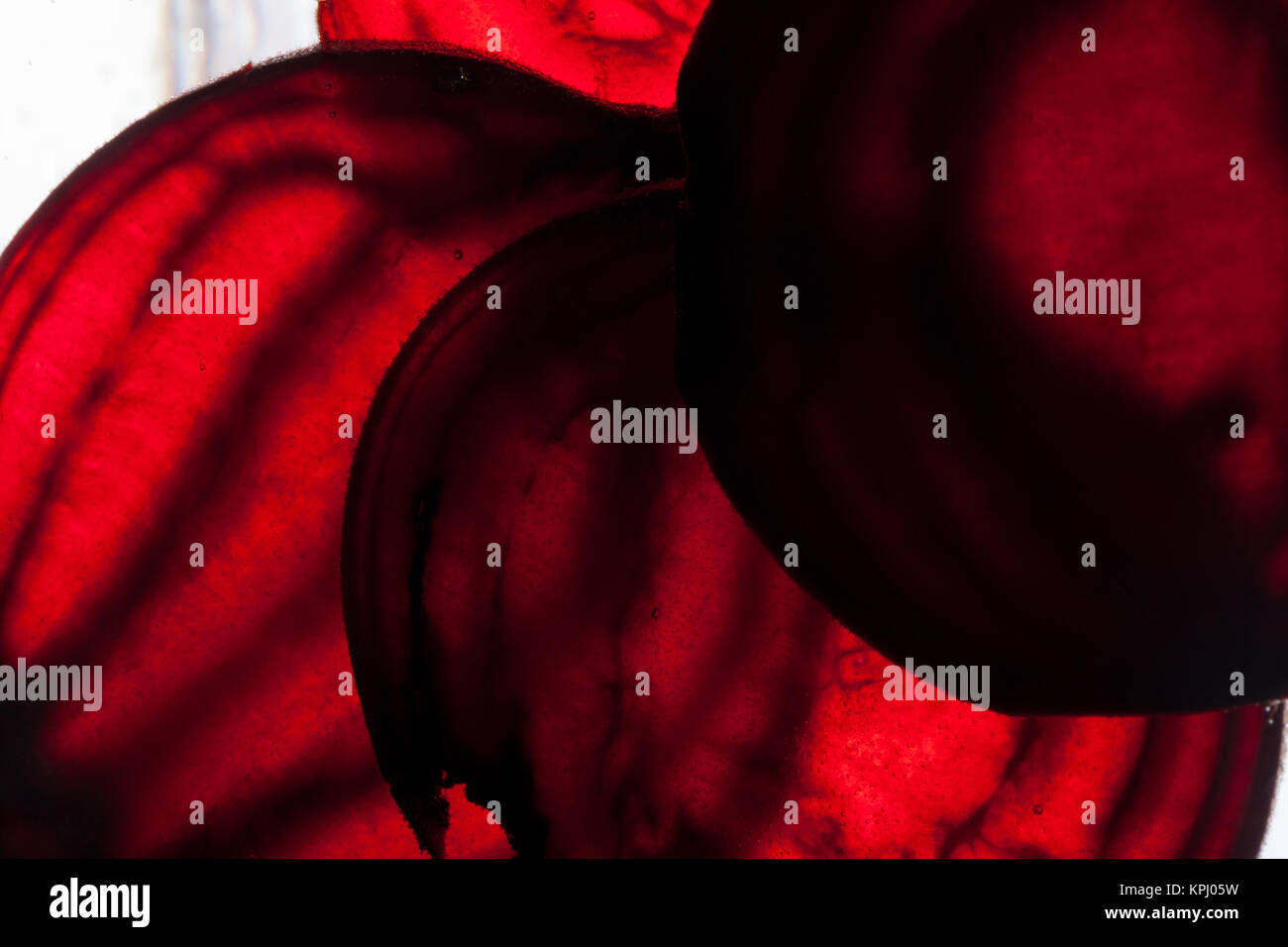 sliced raw beet Stock Photo - Alamy