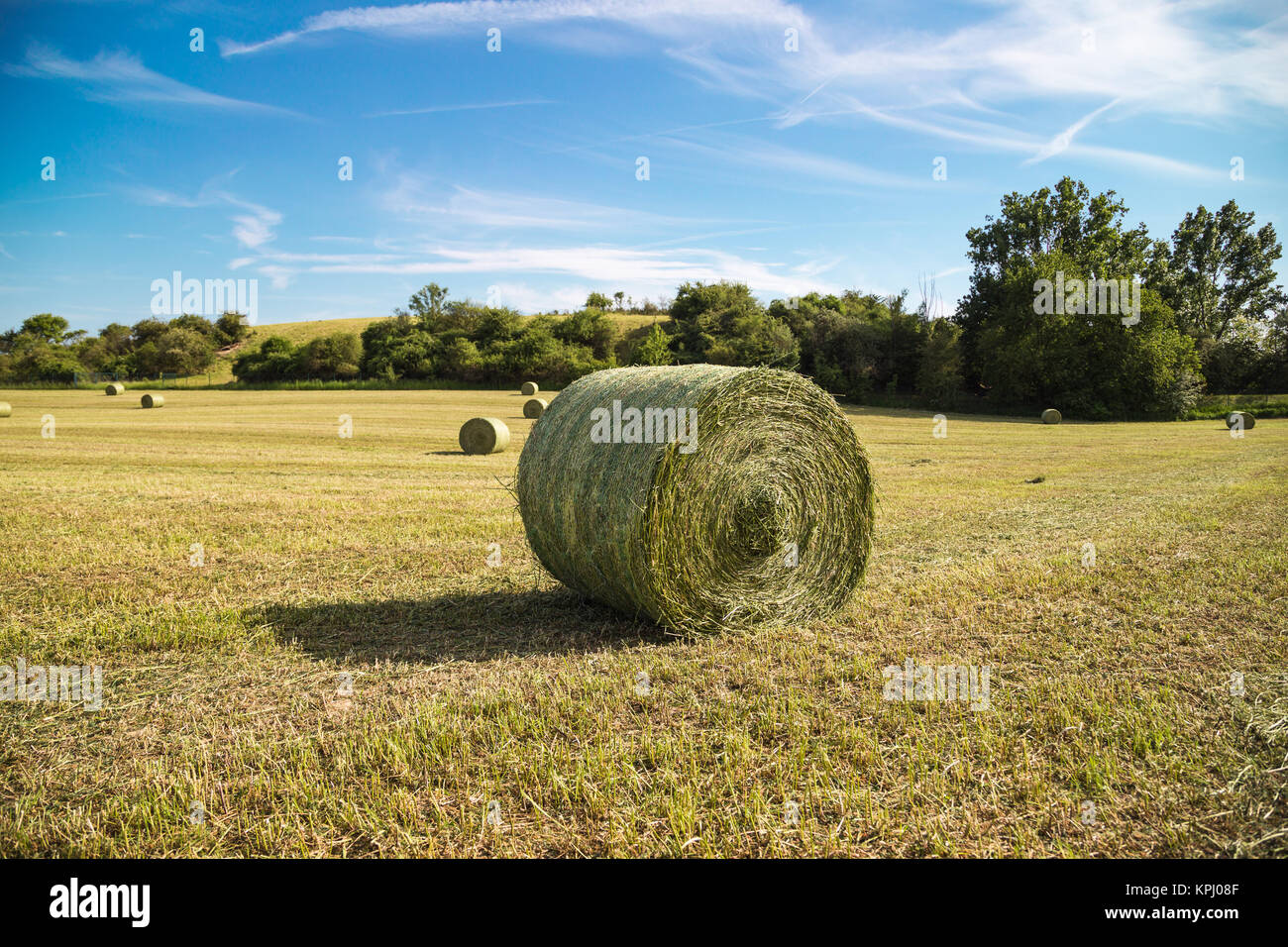 Hay and grain hi-res stock photography and images - Alamy