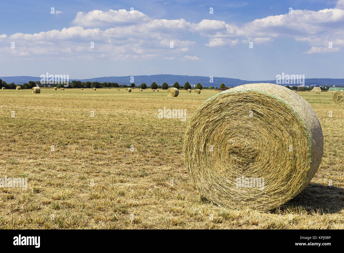 Hay and grain hi-res stock photography and images - Alamy