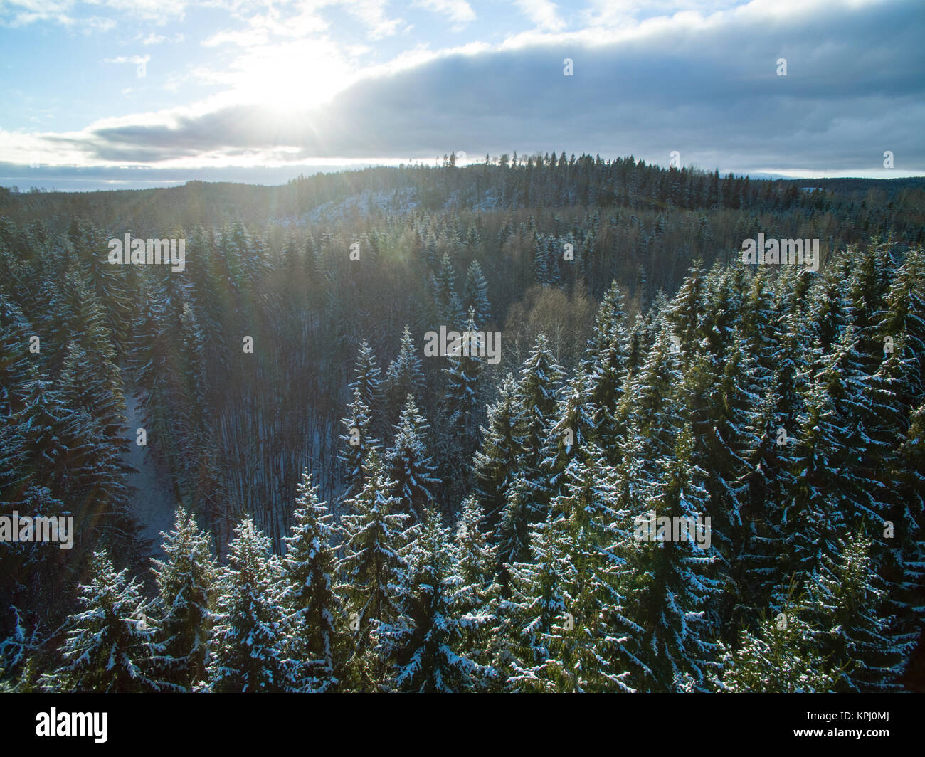 Sun and clouds over the forest Stock Photo - Alamy