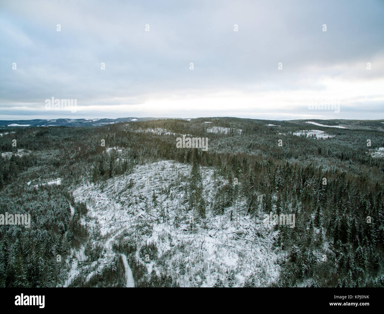 Fresh air above the forest Stock Photo - Alamy