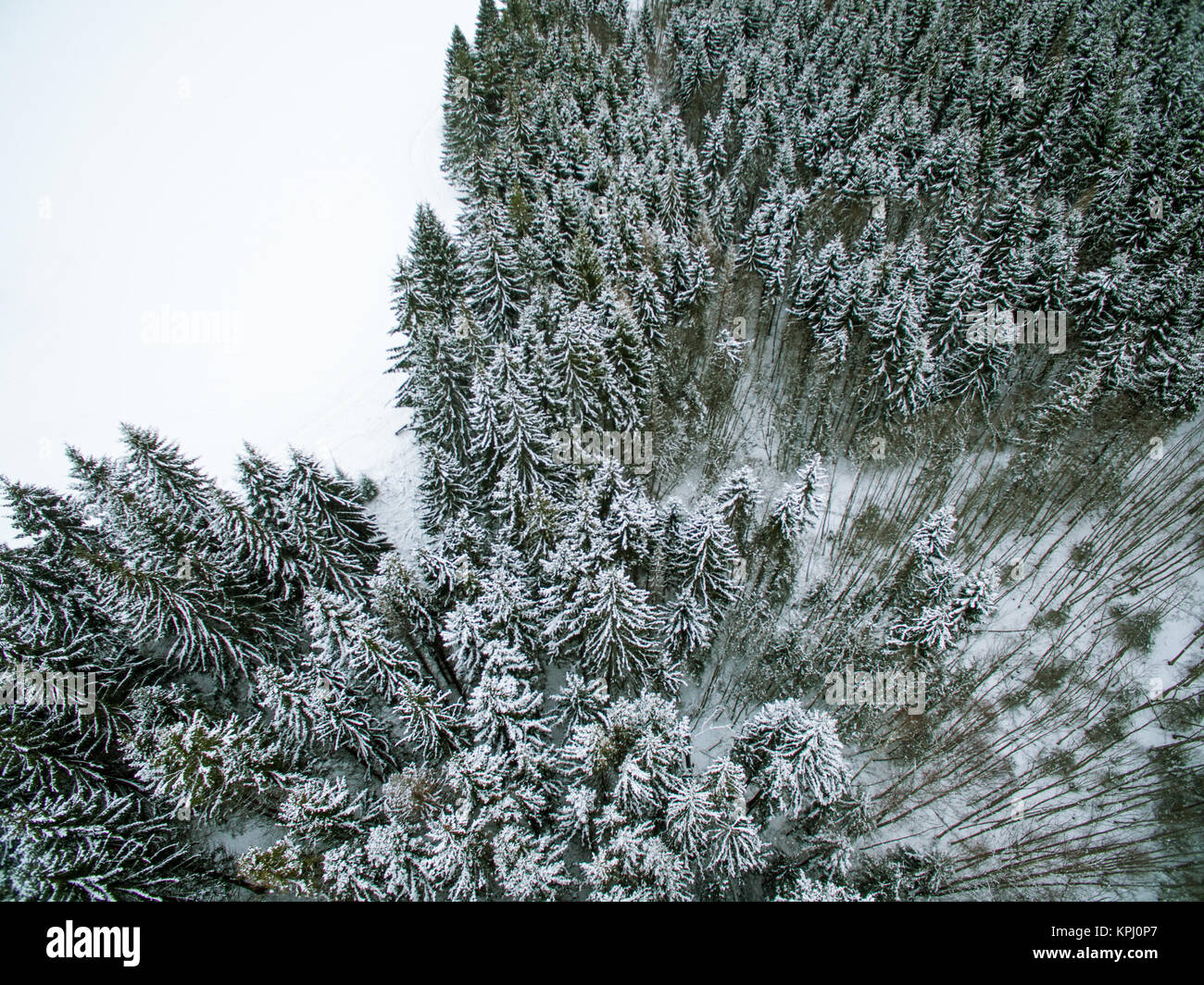 Sprinklet hi-res stock photography and images - Alamy