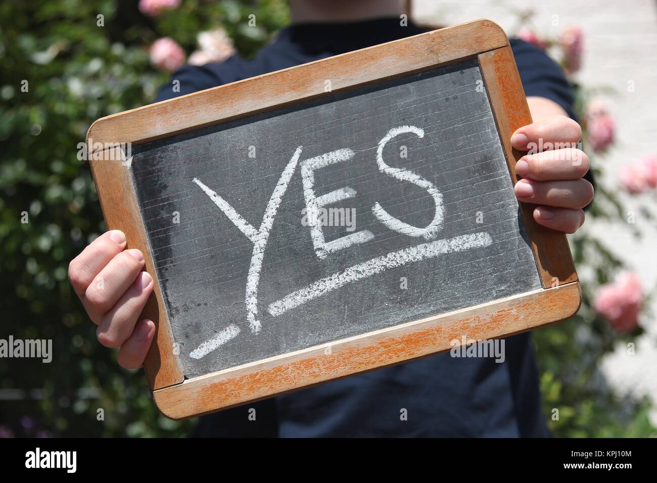 YES written with chalk on slate shown by young female Stock Photo - Alamy