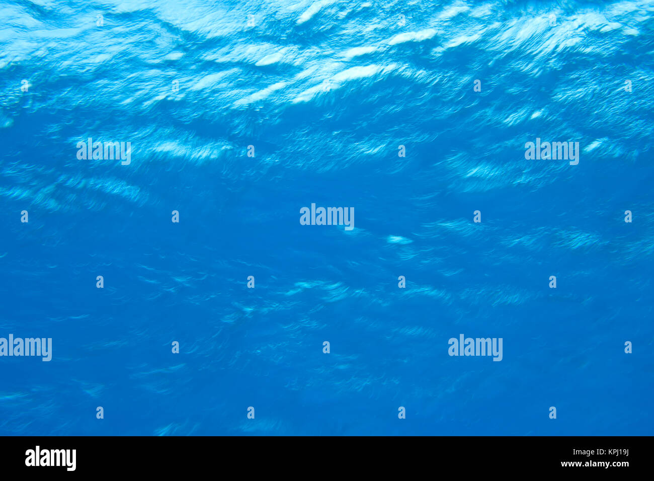 Underwater upward angle view hi-res stock photography and images - Alamy