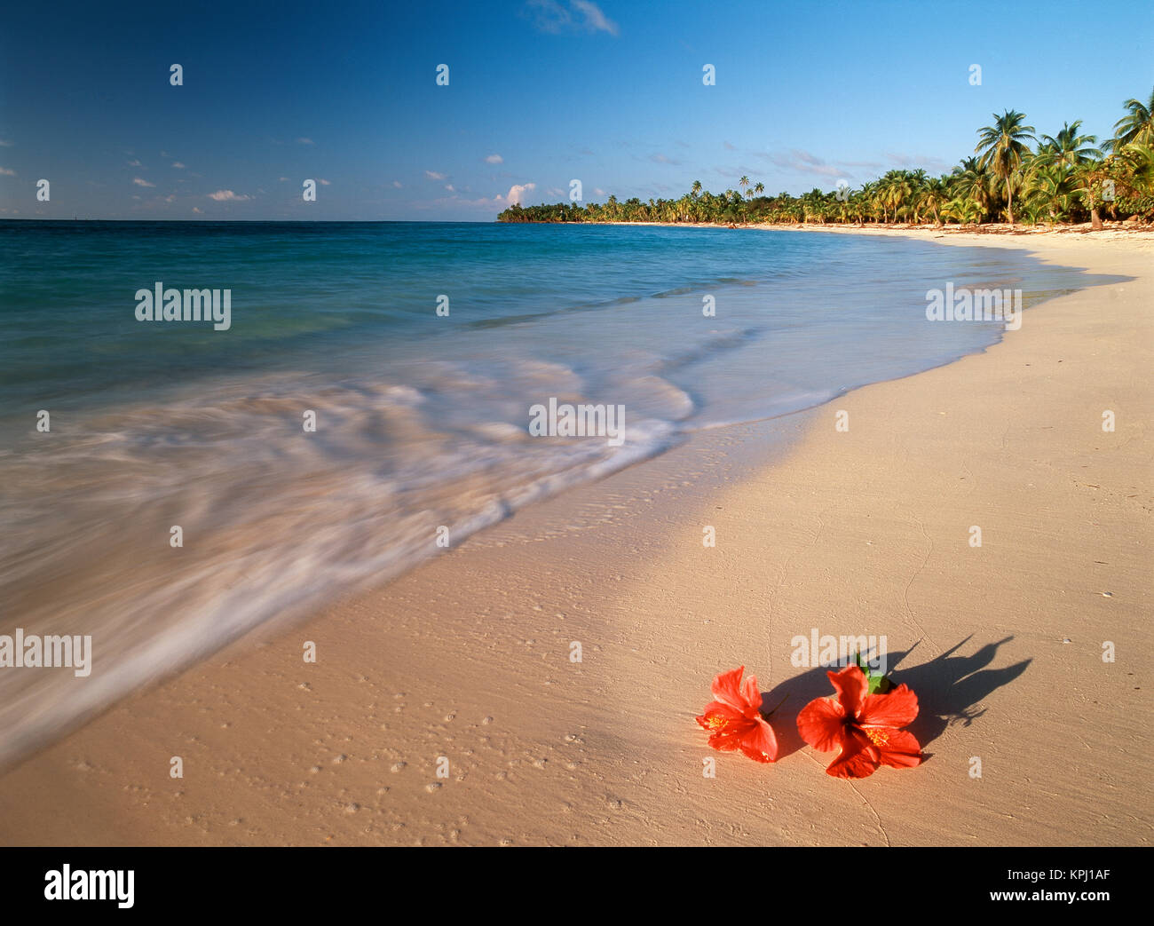 Honduras, Roatan, Tabyana Beach, Tropical Paradise (Large format sizes ...