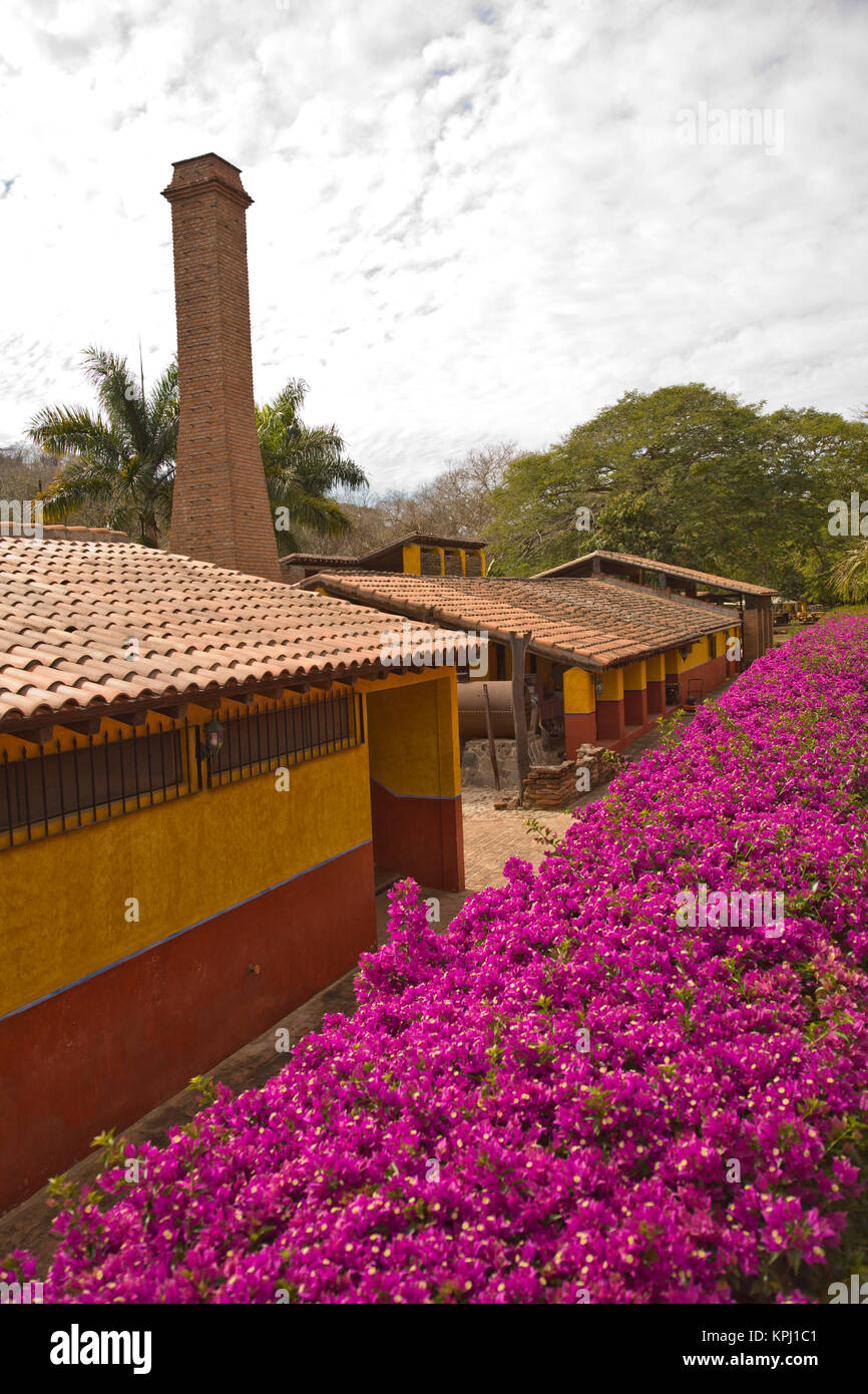 Los Osuna, Tequila Farm & Distillery (since 1876) La Noria near ...