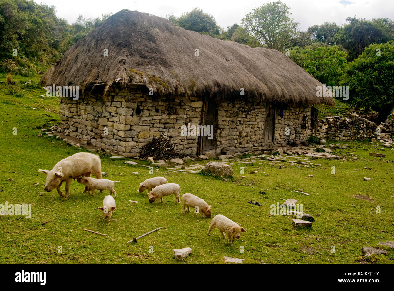Peru. Andes Mountains. Amazonas Province. Upper Amazon. Farm house ...