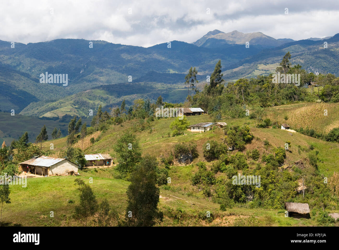 Peru. Andes Mountains. Amazonas Province. Upper Amazon. Near Lemeybamba ...