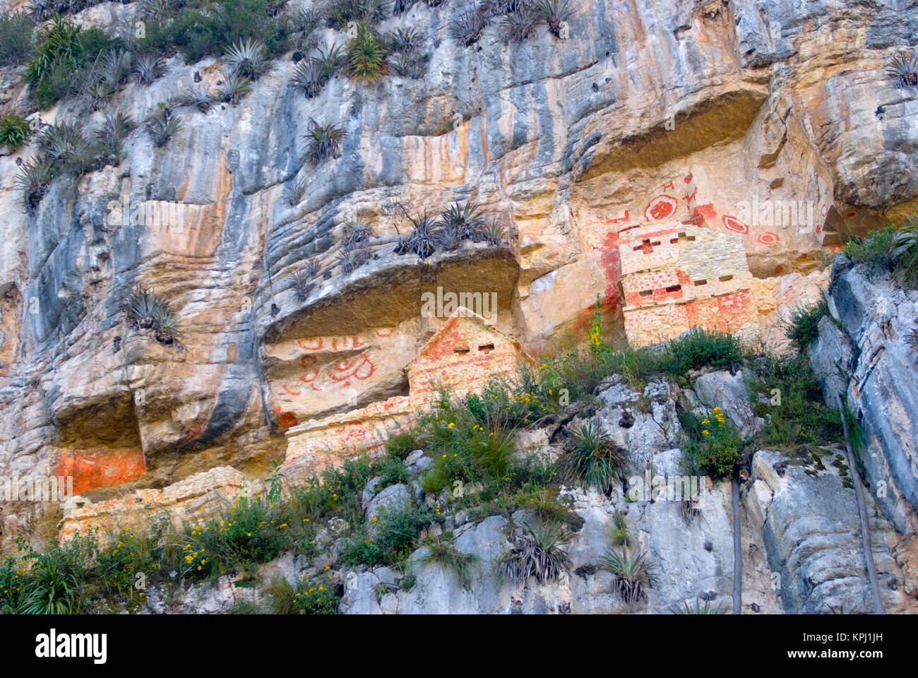 Peru. Andes Mountains. Amazonas Province. Upper Amazon. Cloud forest ...