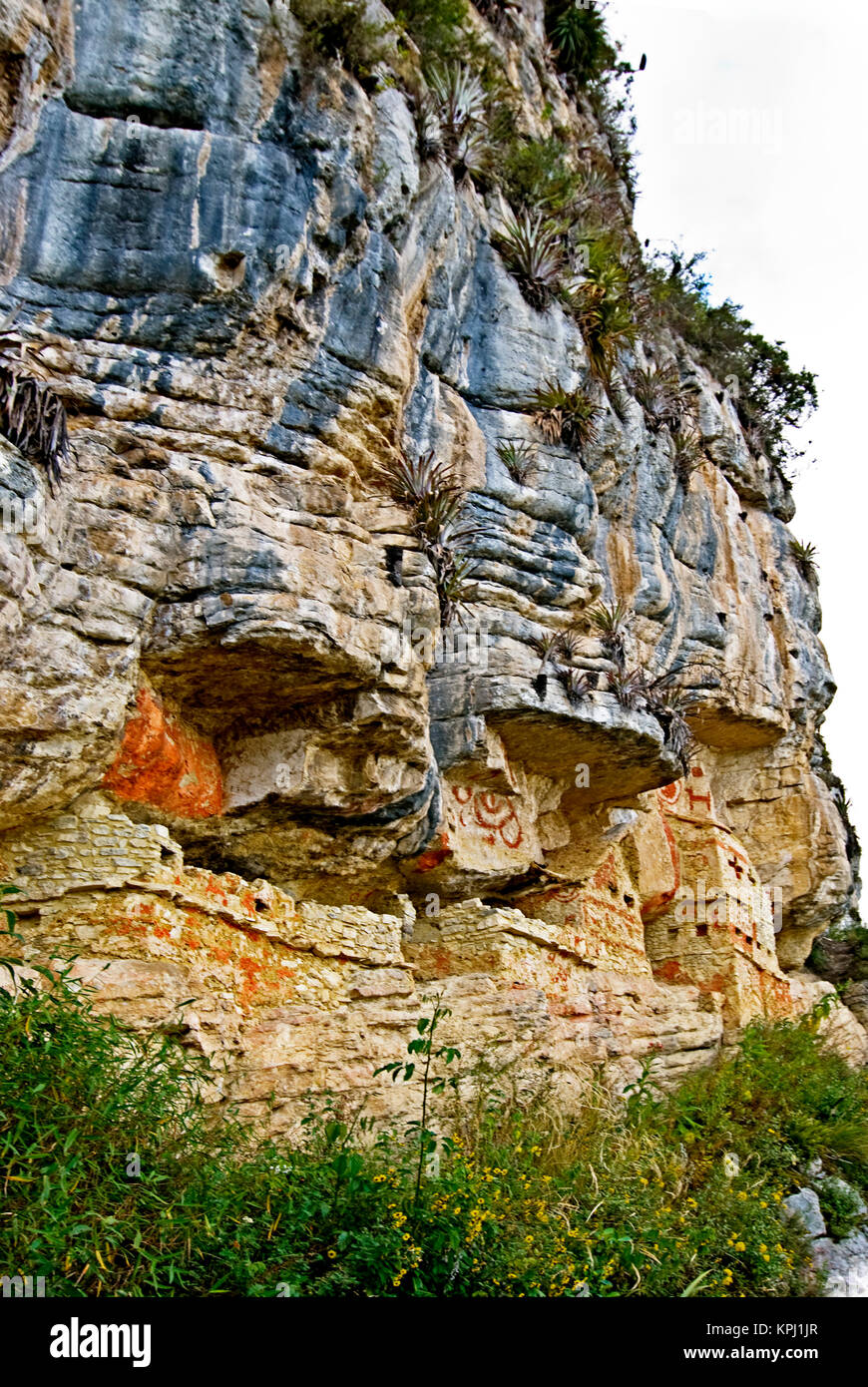 Peru. Andes Mountains. Amazonas Province. Upper Amazon. Cloud forest ...