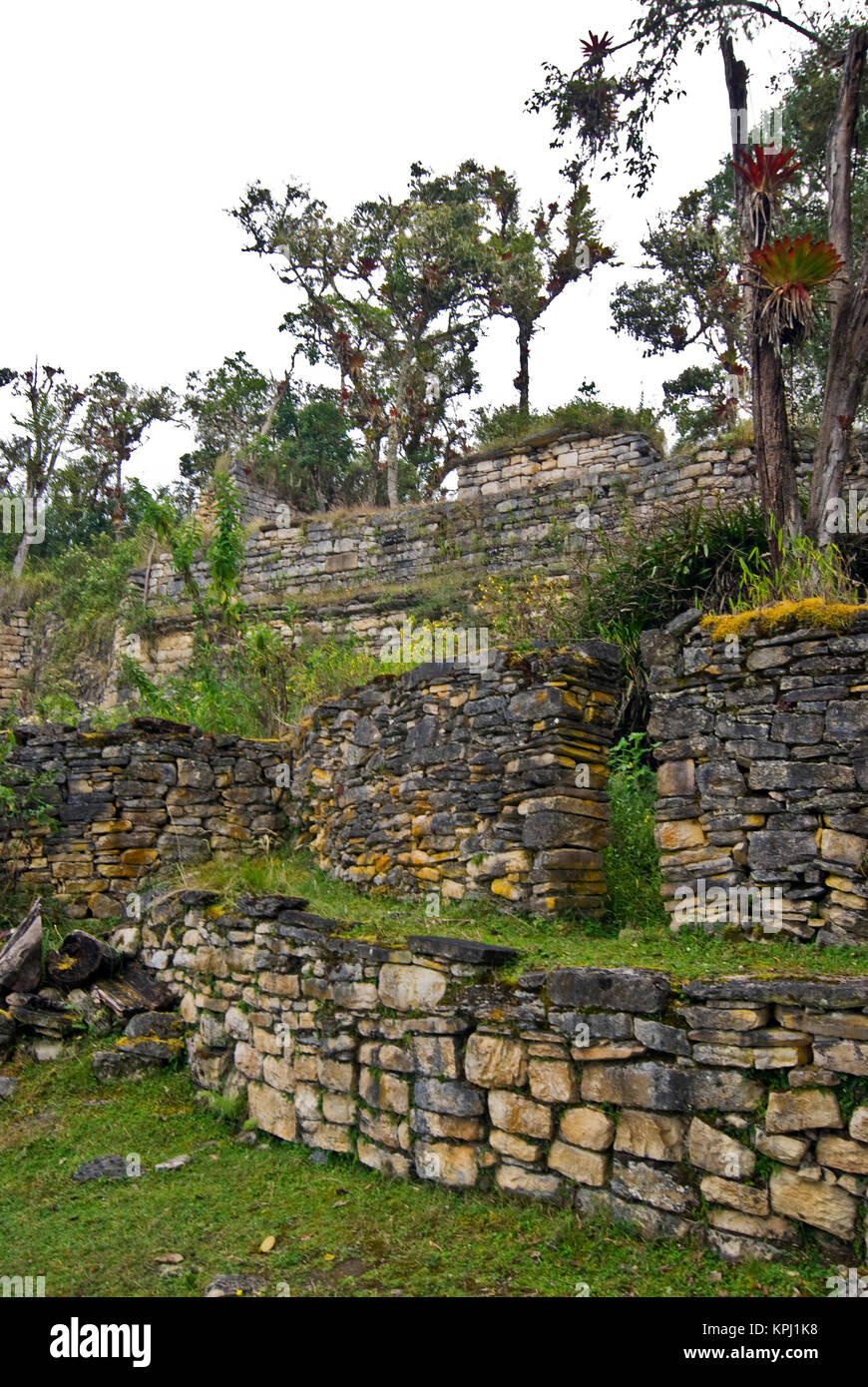 Peru. Andes Mountains. Amazonas Province. Upper Amazon. Cloud forest ...