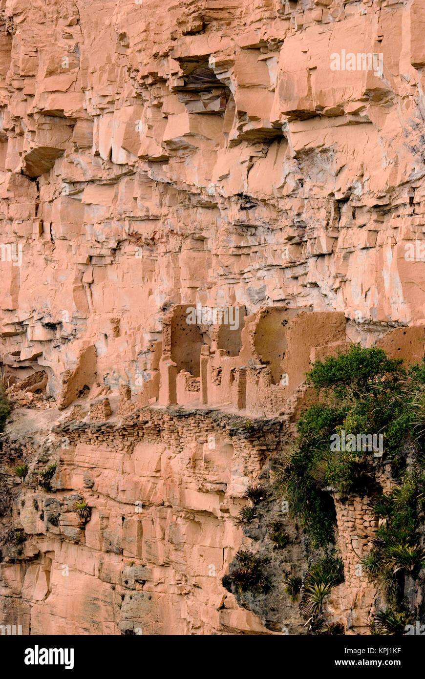 Peru. Andes Mountains. Amazonas Province. Upper Amazon. Cloud forest ...