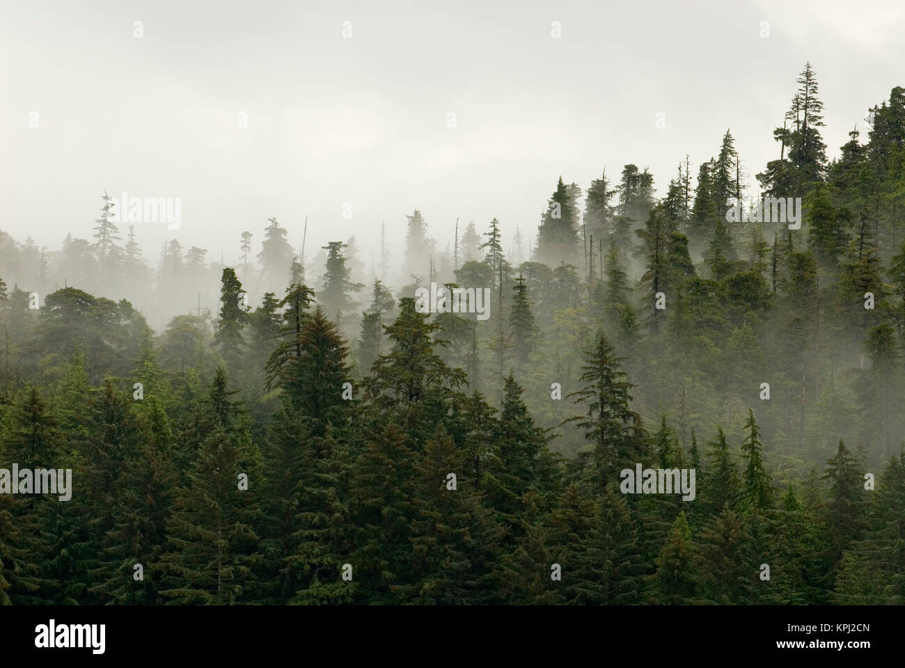 North America, USA, AK, Inside Passage. Steamboat Bay, Frederick Sound ...
