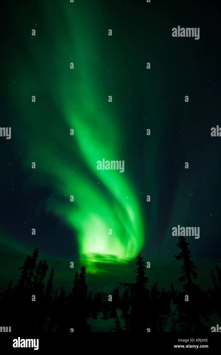 USA. Alaska. Northern Lights in the Alaska Sky Stock Photo - Alamy
