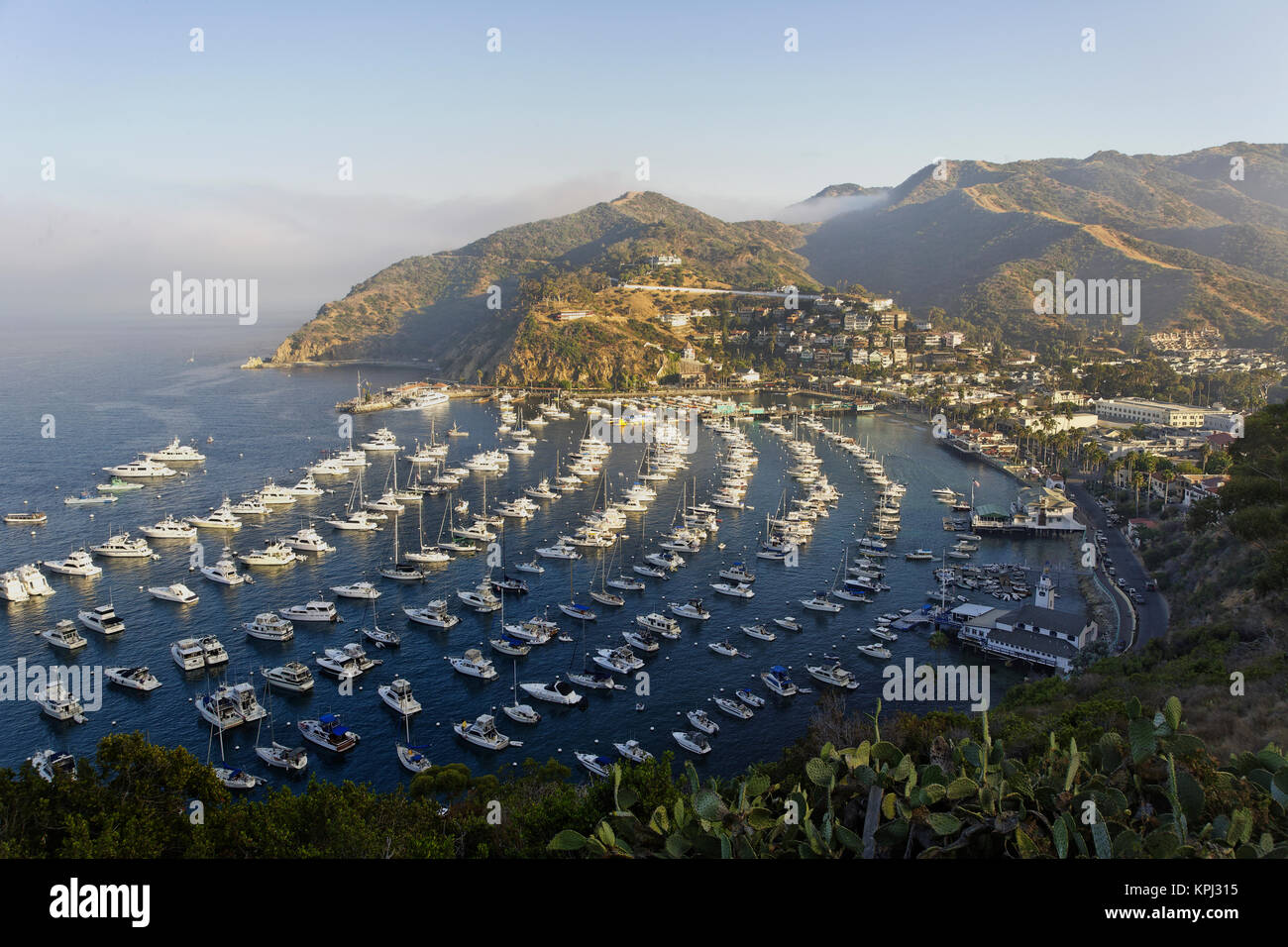 Boats anchored in Catalina Harbor, Catalina Island, California Stock ...