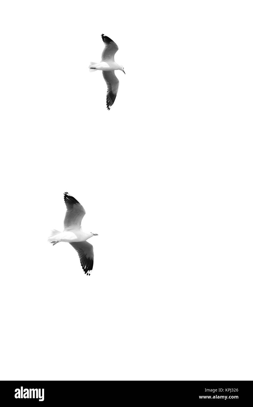 Australia in close up Cut Out Stock Images & Pictures - Alamy