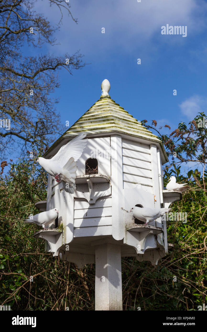 Doves at dovecote hi-res stock photography and images - Alamy