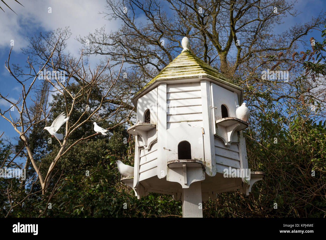 Doves at dovecote hi-res stock photography and images - Alamy