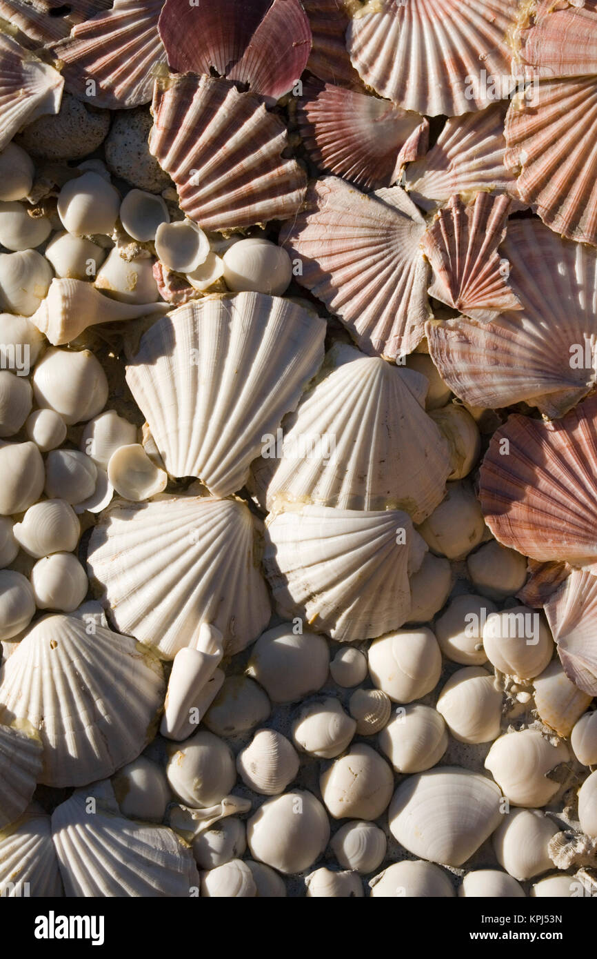USA, Florida, Miami Beach: Lincoln Road, Seashell Detail Stock Photo ...