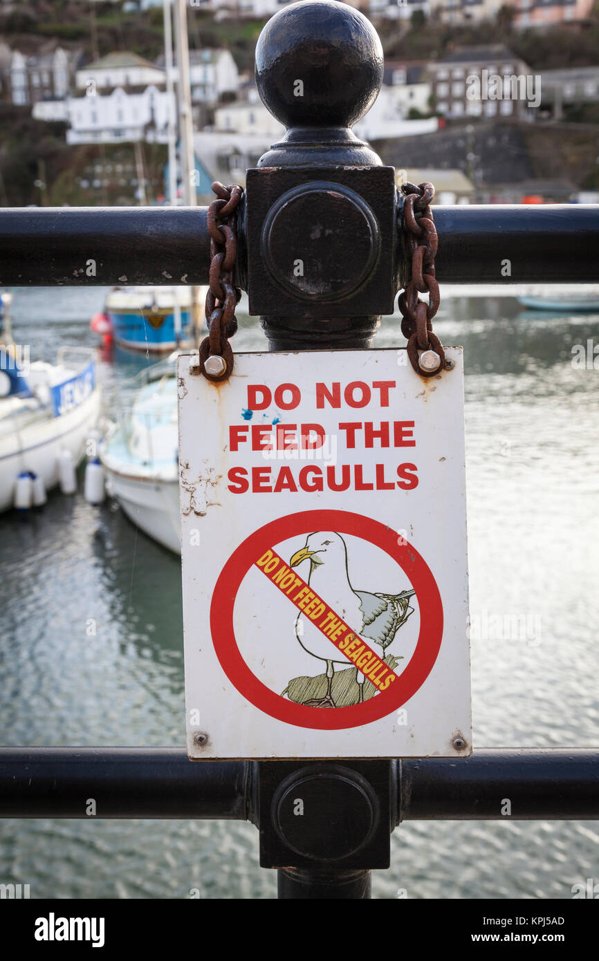 Do feed the seagulls sign hi-res stock photography and images - Alamy