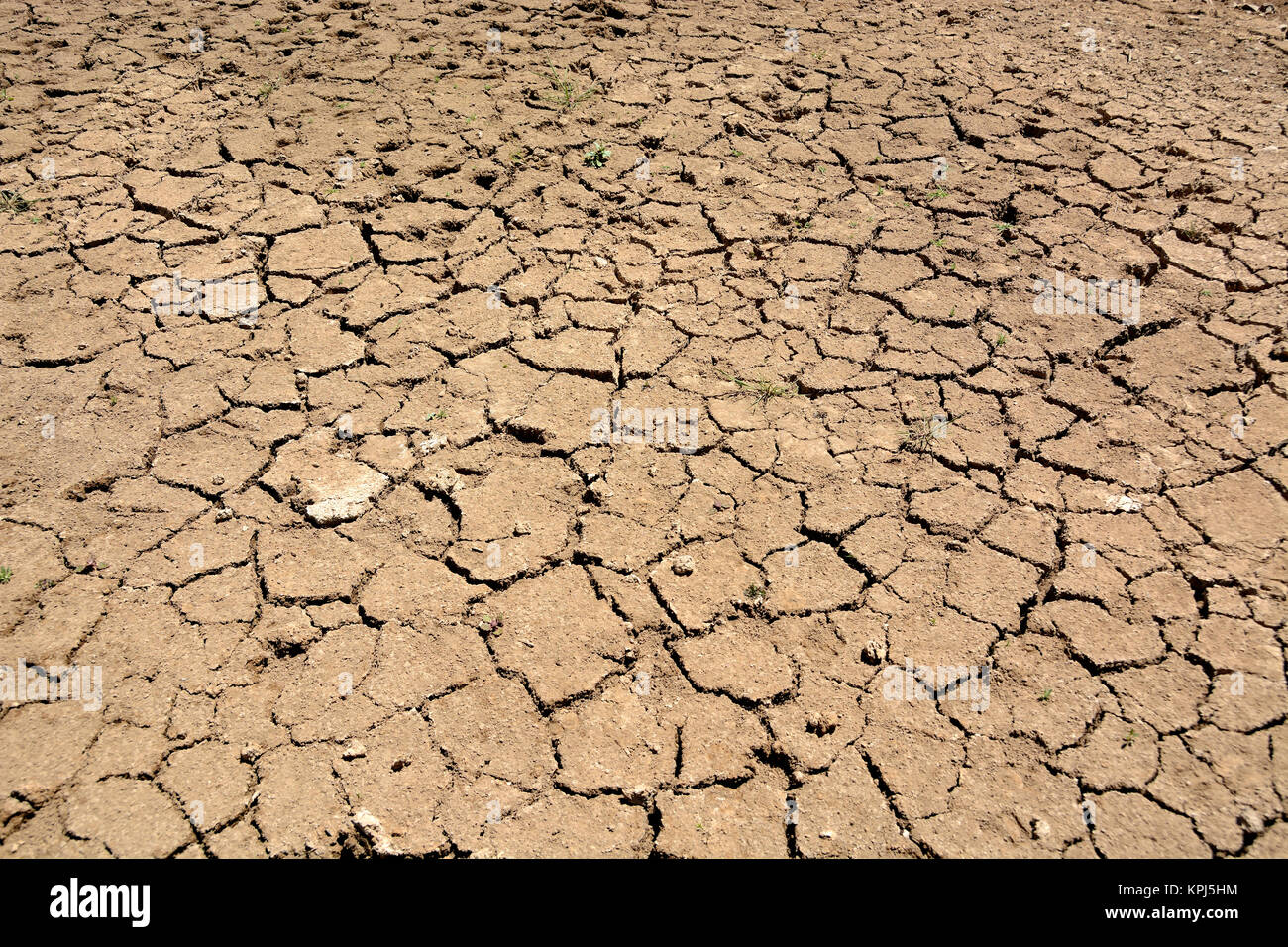 Arid soil.Effects of prolonged drought in early spring Stock Photo - Alamy