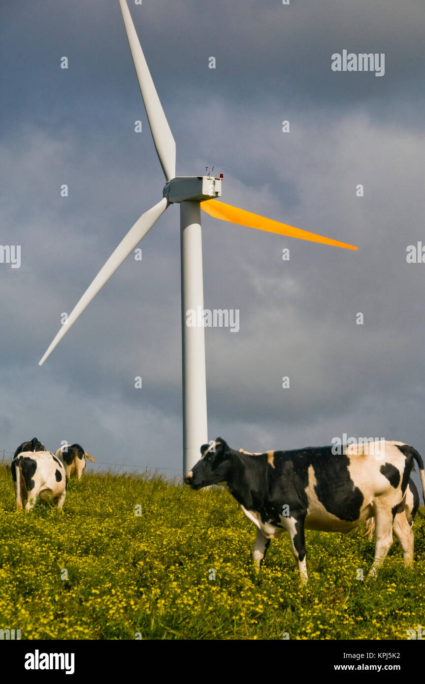 The cattle point hi-res stock photography and images - Alamy