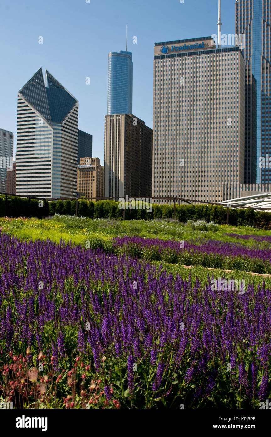 Lurie Garden at Millennium Park in spring Stock Photo - Alamy