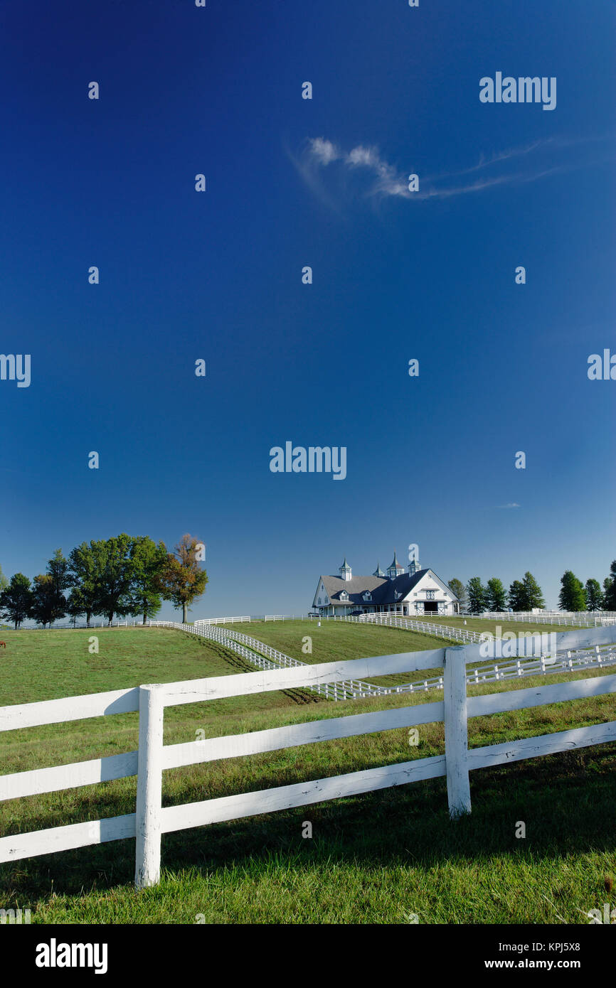 Manchester horse farm, Lexington, Kentucky Stock Photo - Alamy